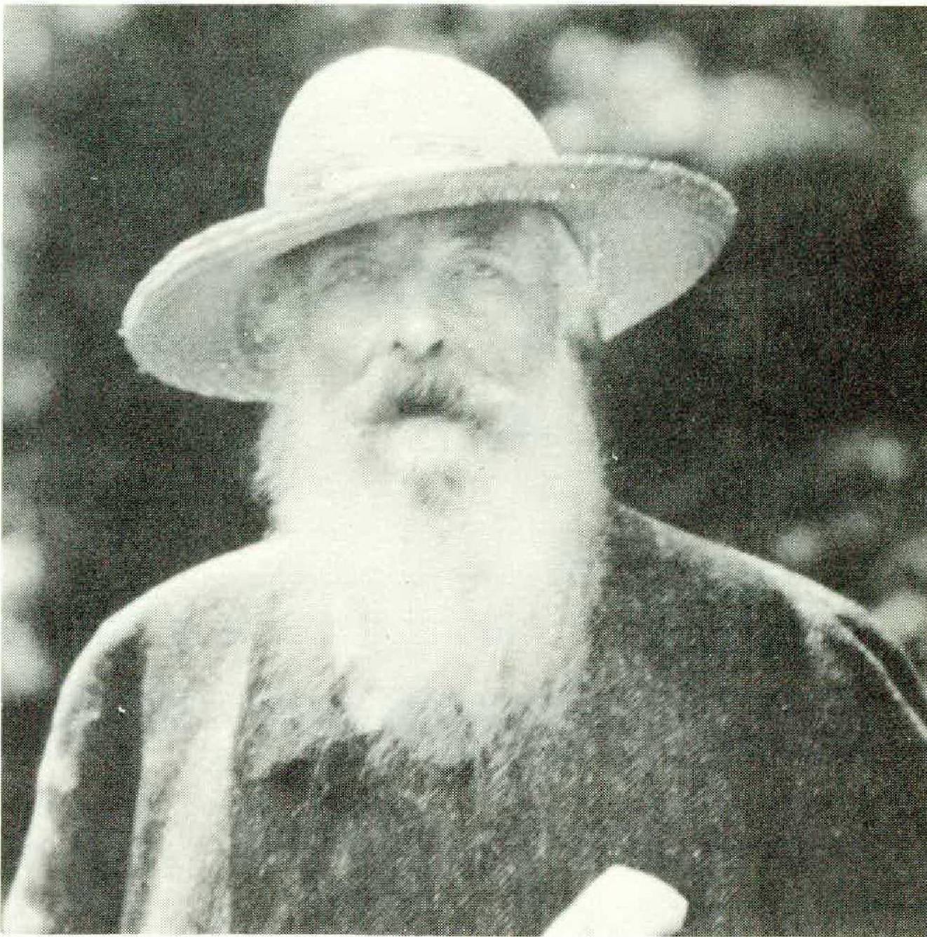 The Strange Posthumous Career of Claude Monet - The Atlantic
