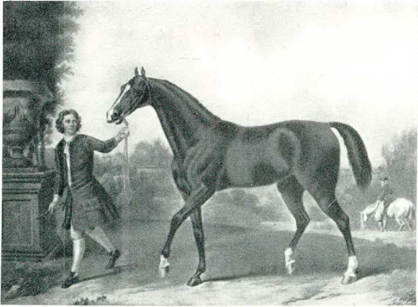 The Market in Bloodlines - The Atlantic