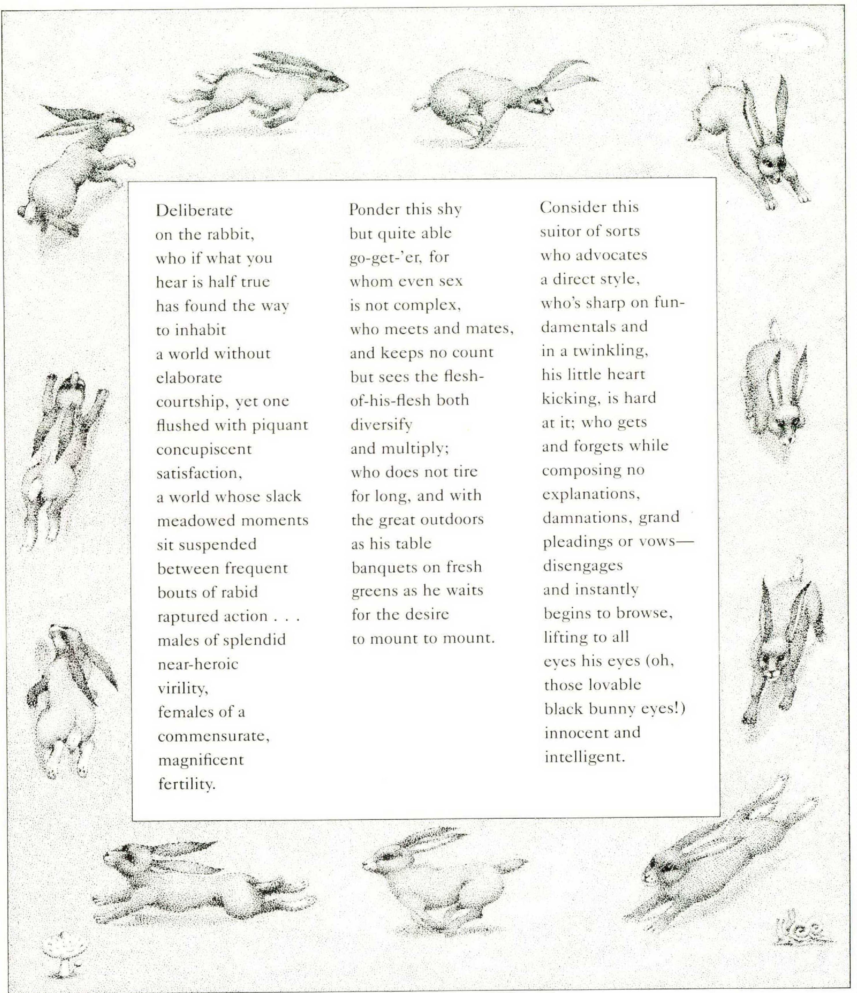 Rabbits - The Atlantic