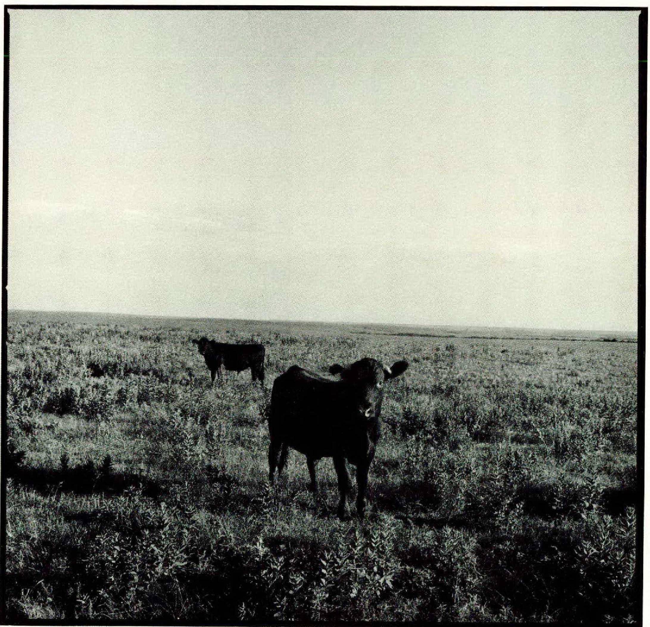 Prairyerth: Portraits From Chase County, Kansas - The Atlantic