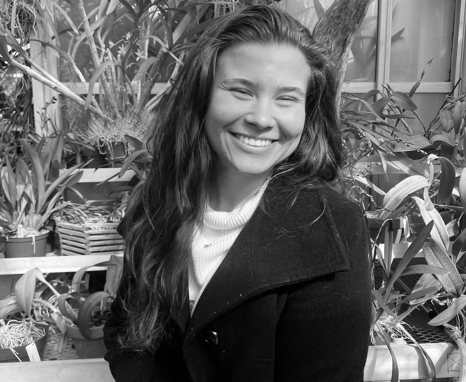 All Stories by Nancy Walecki - The Atlantic