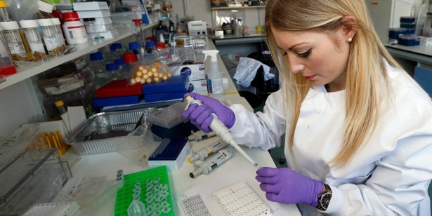 Why the S in STEM Is Overrated - The Atlantic