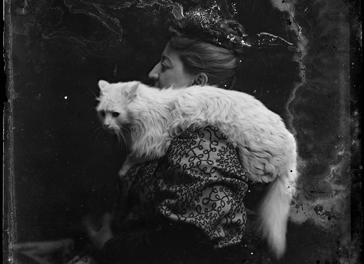 Cats As Historical Figures