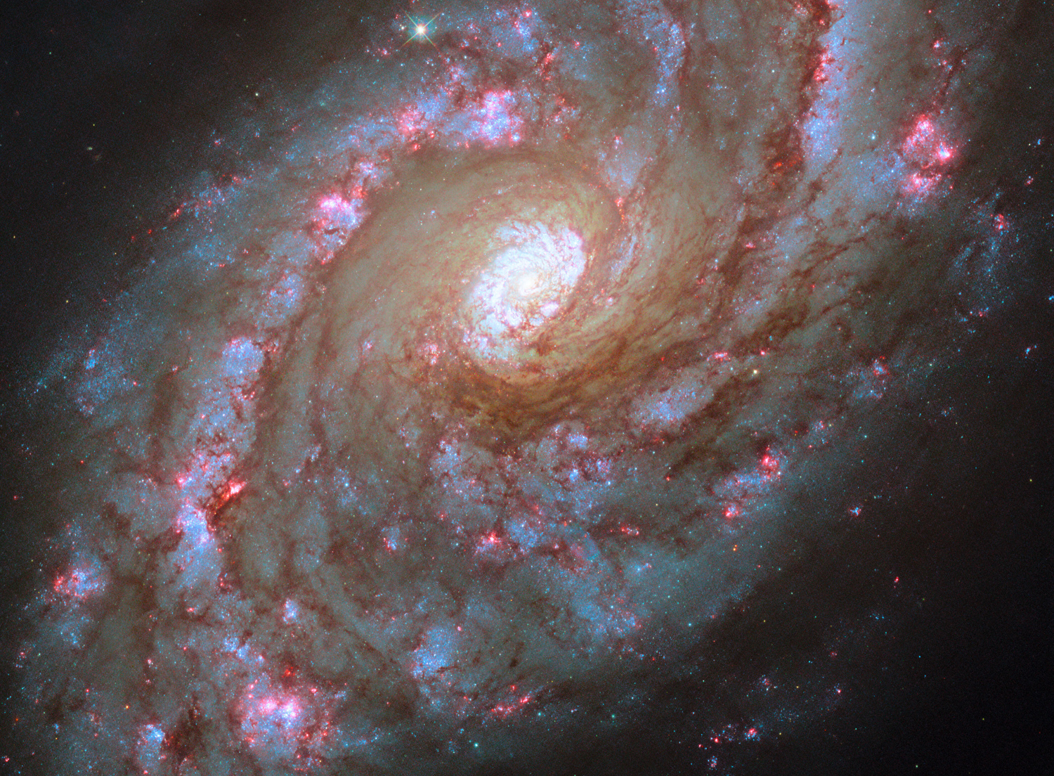 Milky Way Hubble Telescope Gallery