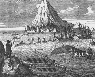 The Spectacular Rise and Fall of U.S. Whaling: An Innovation Story ...