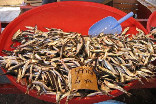 12 Foods You Should Try At Least Once - The Atlantic