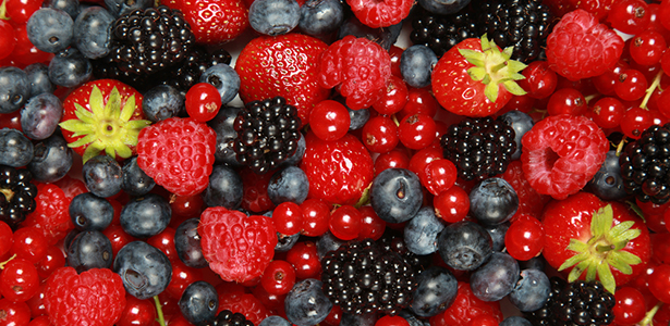 The Benefits of Berries to the Brain - The Atlantic