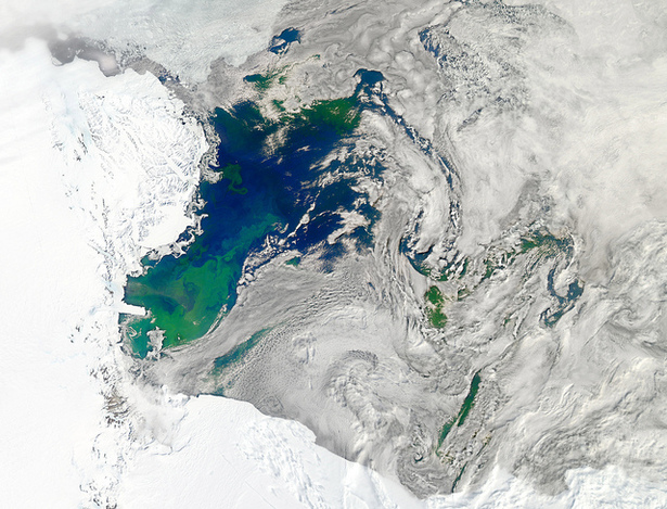 Picture of the Day: The Ross Sea Comes to Life - The Atlantic