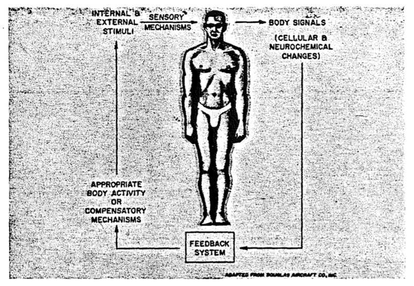 The Limits of the Human Body in Space: An Illustrated Guide - The Atlantic