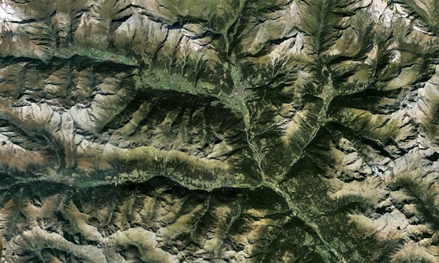 The Mesmerizing Beauty of Nature's Fractals - The Atlantic