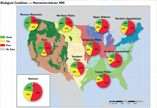 Half of All U.S. Rivers Are Too Polluted for Our Health - The Atlantic