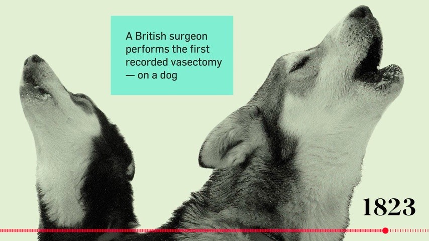 A Brief History of Contraception - The Atlantic