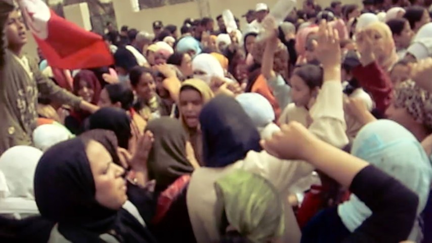 A Feminist Carries on the Dream of the Tunisian Revolution: Ghazala ...