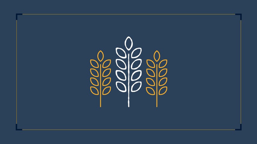 The Right Kind of Flour - The Atlantic - The Atlantic