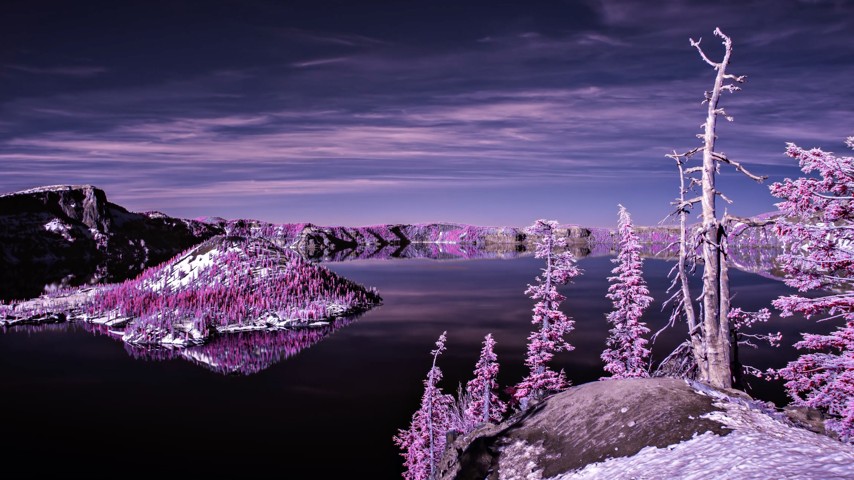 A Time-Lapse Captures Oregon's Invisible Beauty - The Atlantic - The ...