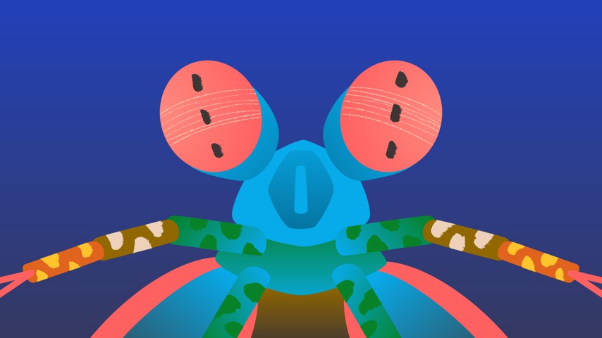 How Do Animals See the World? - The Atlantic - The Atlantic