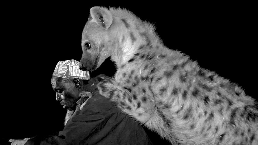 'Hairat,' Jessica Beshir's Short Film About Love, Loss, and Hyenas ...