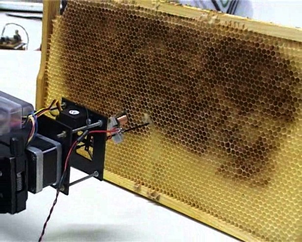 Robotic Bee in Action - The Atlantic