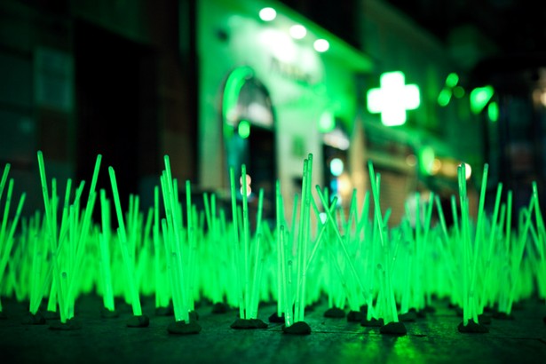 Spooky Glow-in-the-Dark Grass With an Environmental Message - The Atlantic