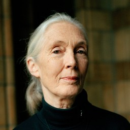 Jane Goodall’s Second-Greatest Talent - The Atlantic
