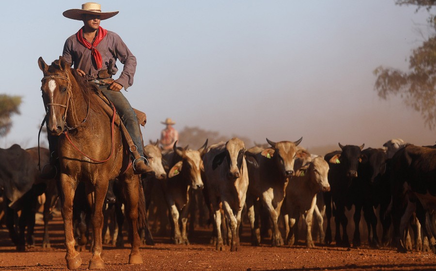 2017 Seen Through the Lens of Mario Tama - The Atlantic