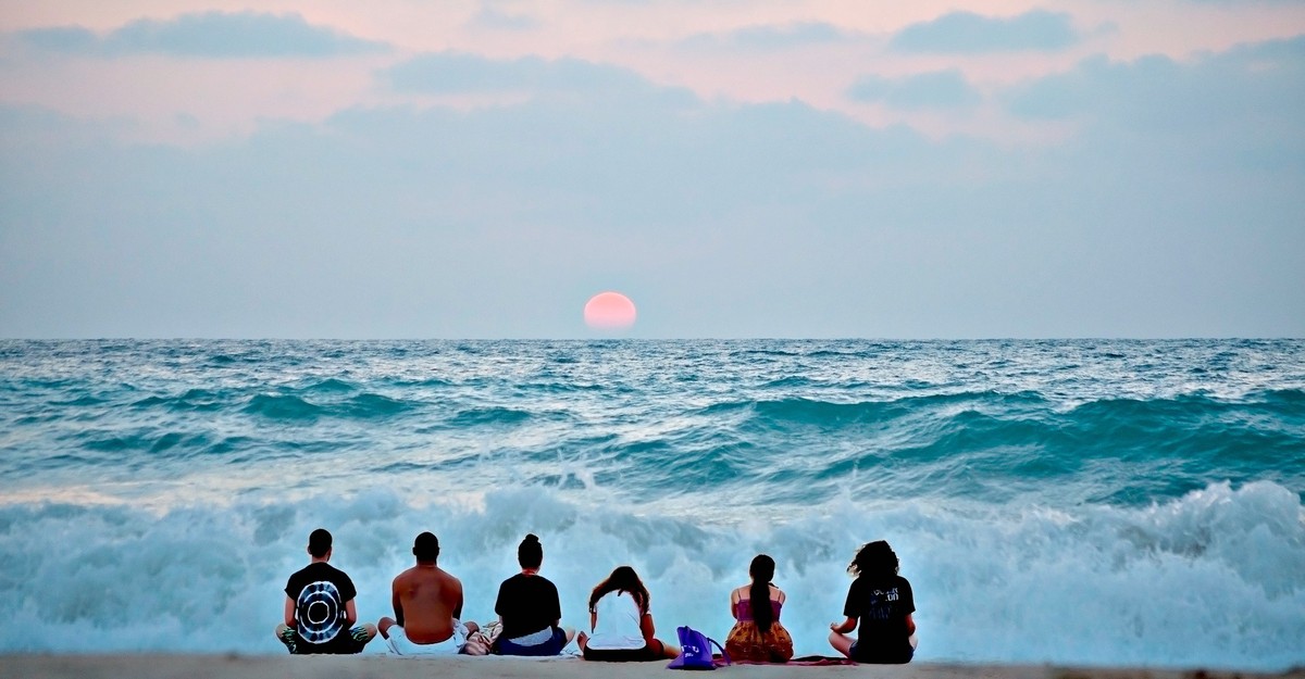 What a Happy Cell Looks Like - The Atlantic