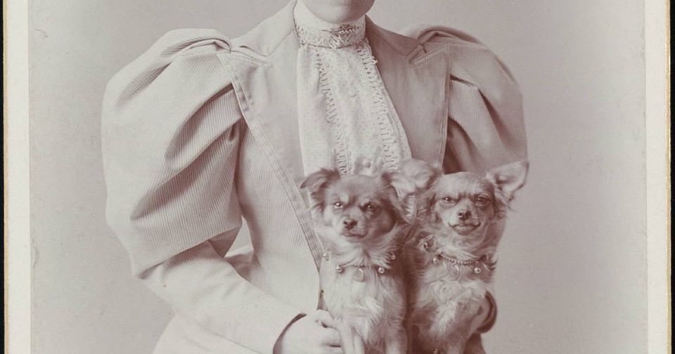 Edith Wharton Reveals the ‘Deeper Processes’ Behind Her Art - The Atlantic