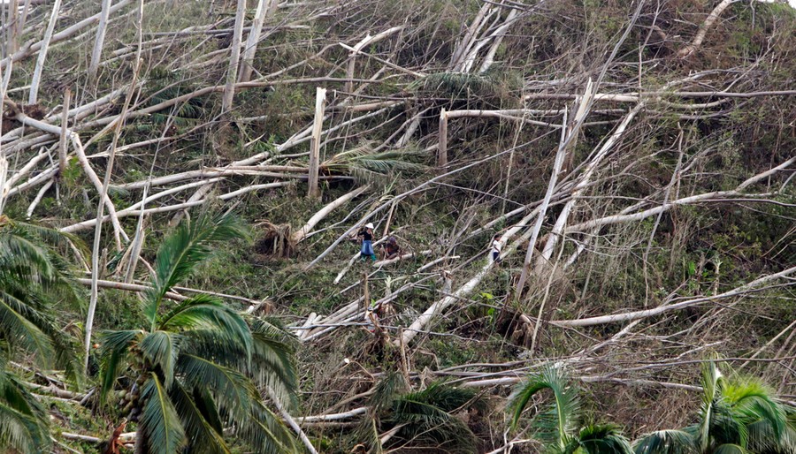 Typhoon Bopha - The Atlantic