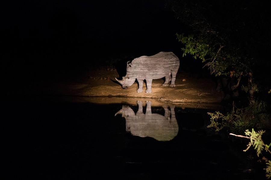 2016 Nat Geo Nature Photographer of the Year, Part II - The Atlantic