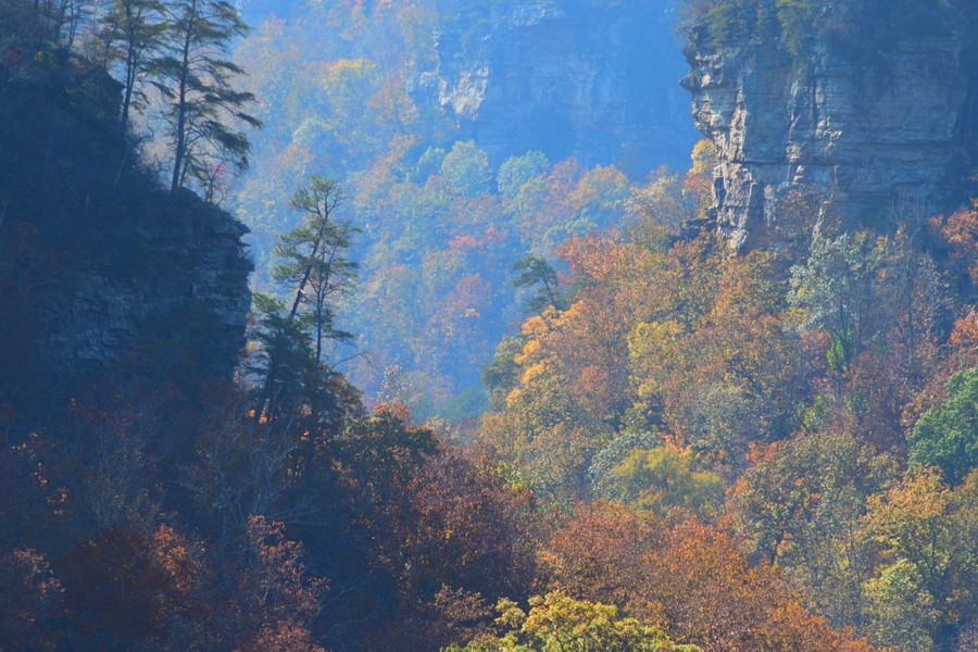 Alabama: Images of the Yellowhammer State - The Atlantic