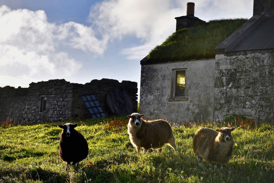 Foula—the Most Remote Inhabited Island in Great Britain - The Atlantic