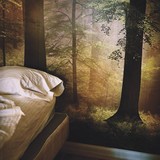 Edward J. Delaney, The Atlantic