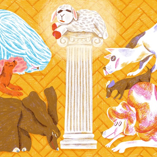 Why Are Dogs So Obsessed With Lamb Chop? - The Atlantic