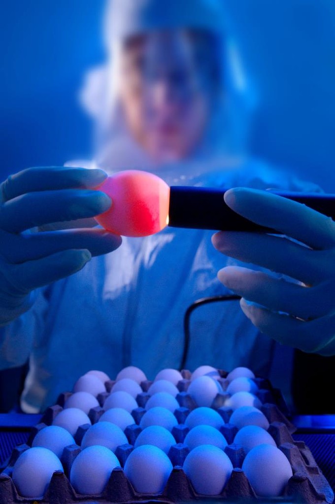 An Interview With James Gathany, the CDC's Scientific Photographer ...