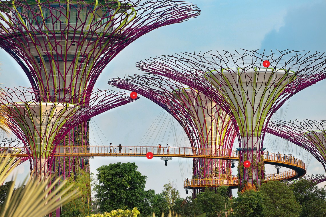 Supertrees - The Atlantic