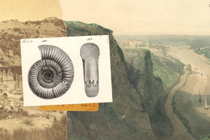 Science - The Atlantic