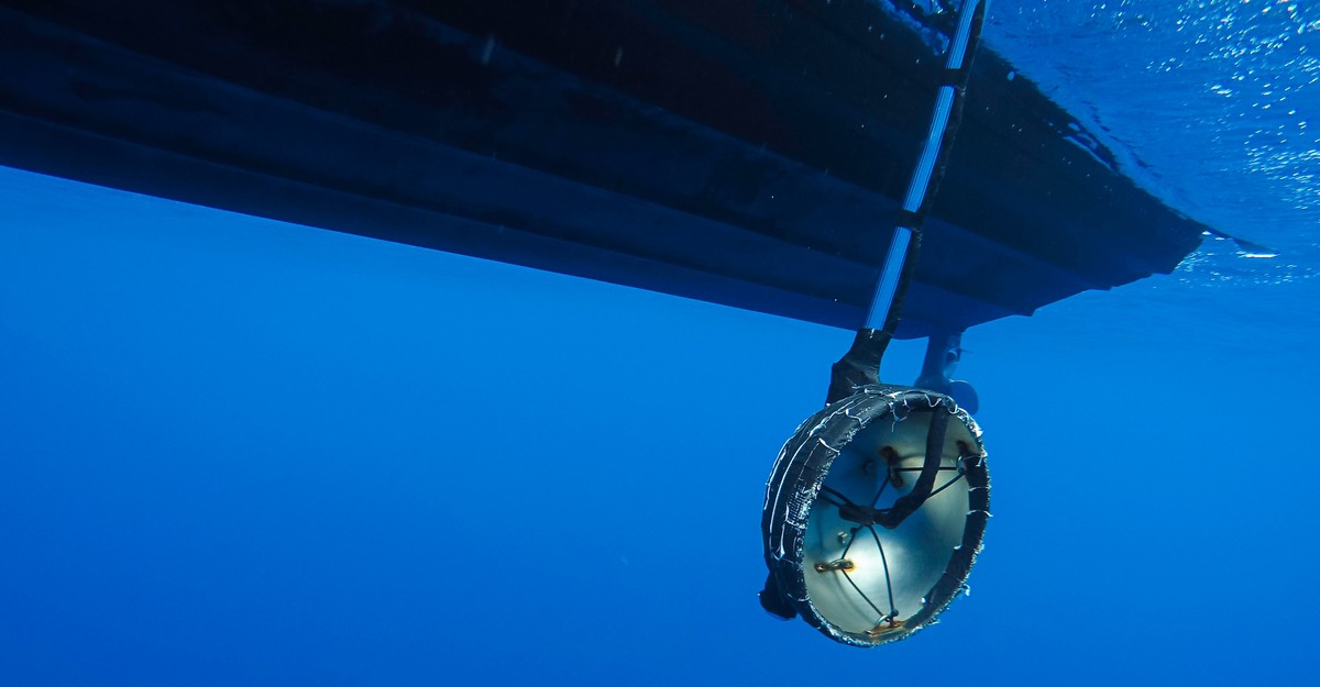 The Unending Hunt for an Invisible Whale - The Atlantic