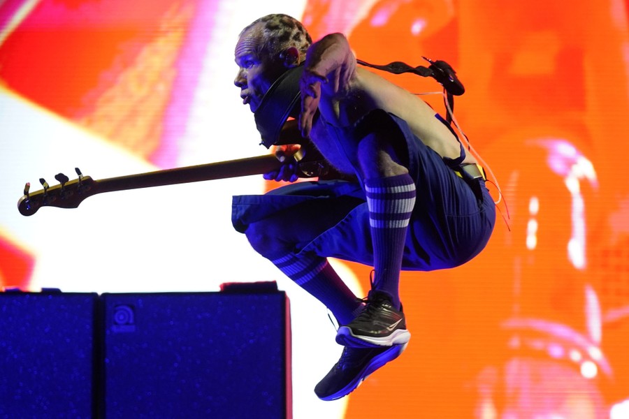 Photos of the Week: Foam Party, Pet Dryer, Hummingbird Care - The Atlantic