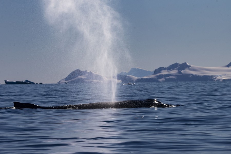 Scenes From Antarctica - The Atlantic