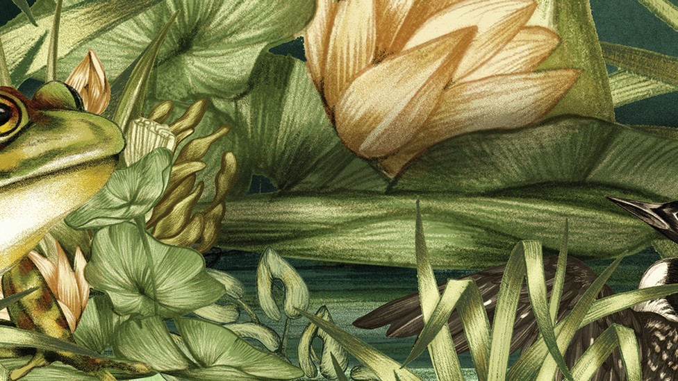 The Swamp Lover - The Atlantic