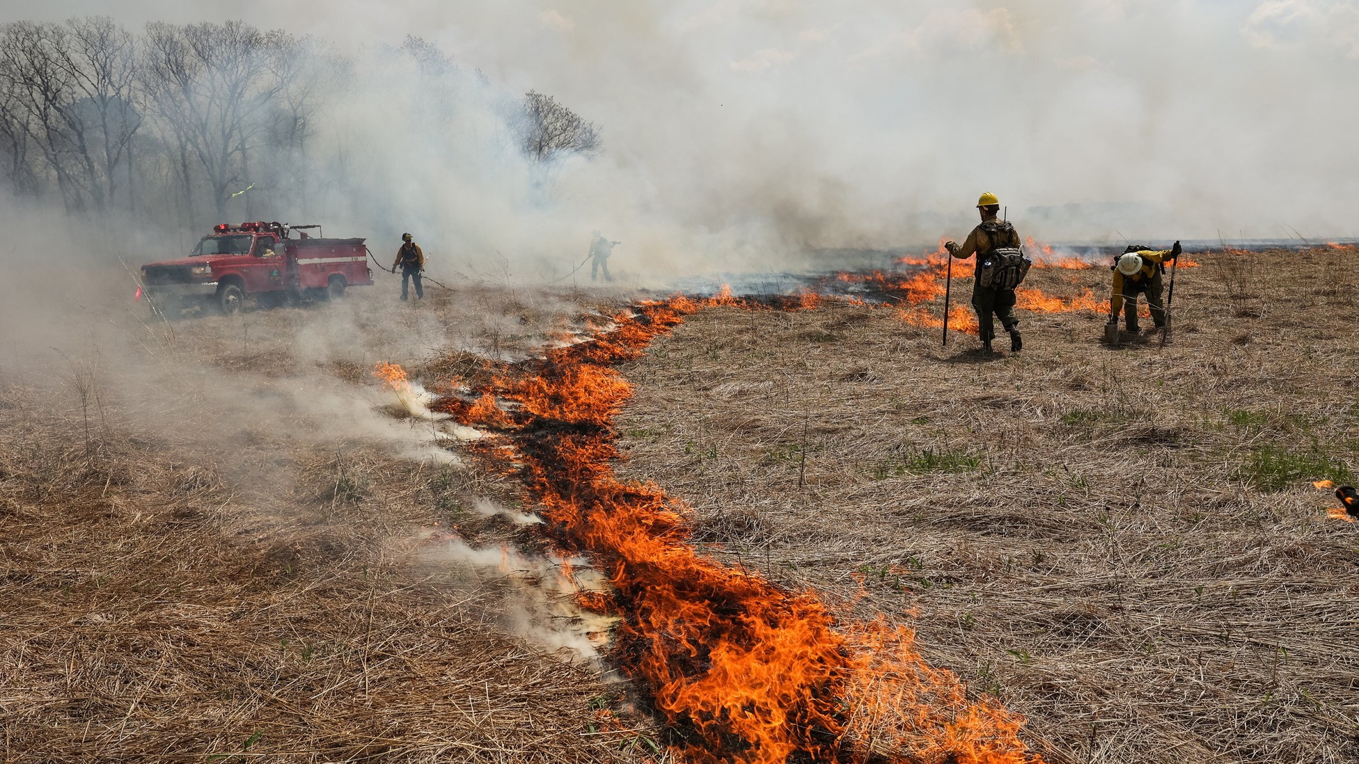 Our Forests Need More Fire, Not Less - The Atlantic