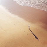 Isabel Fattal, The Atlantic
