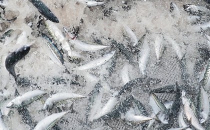 Latest - The Atlantic