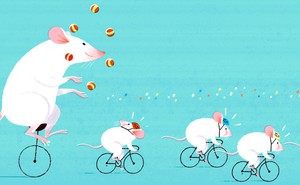 All Stories by Emily Sohn - The Atlantic