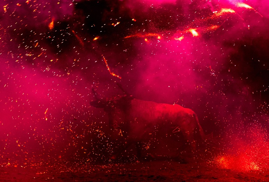 Toro de Jubilo, the Fire Bull Festival - The Atlantic