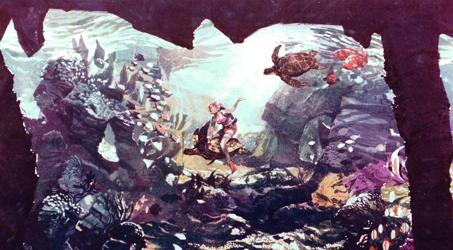 The Fantastical Vision for the Original SeaWorld - The Atlantic