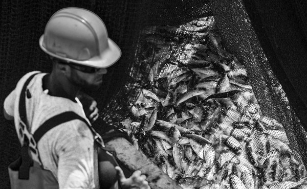 All Stories by Jack Darrell - The Atlantic