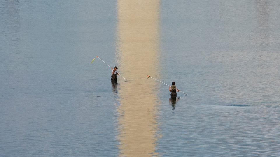 Science Has a Name for What’s Plaguing the Reflecting Pool - The Atlantic