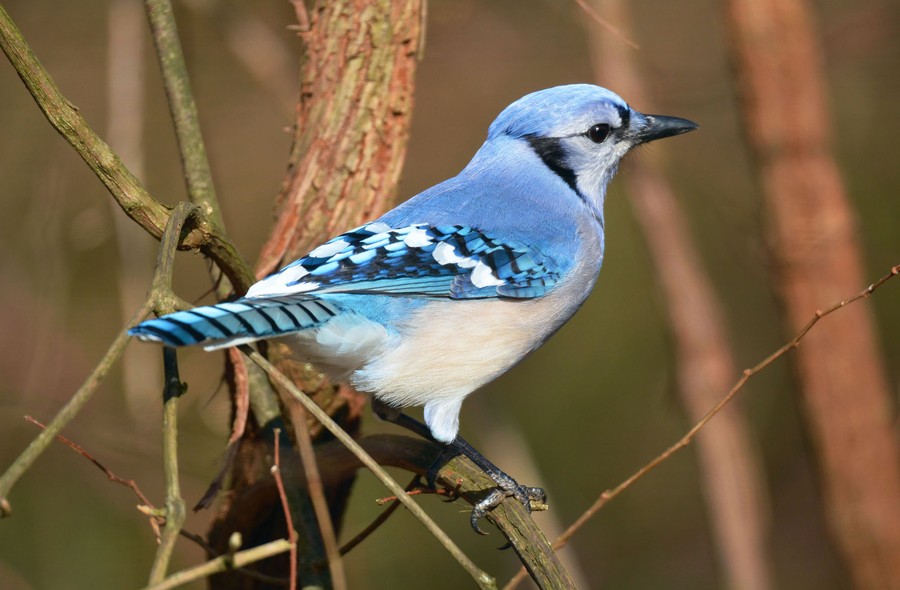 Indiana: Images of the Hoosier State - The Atlantic