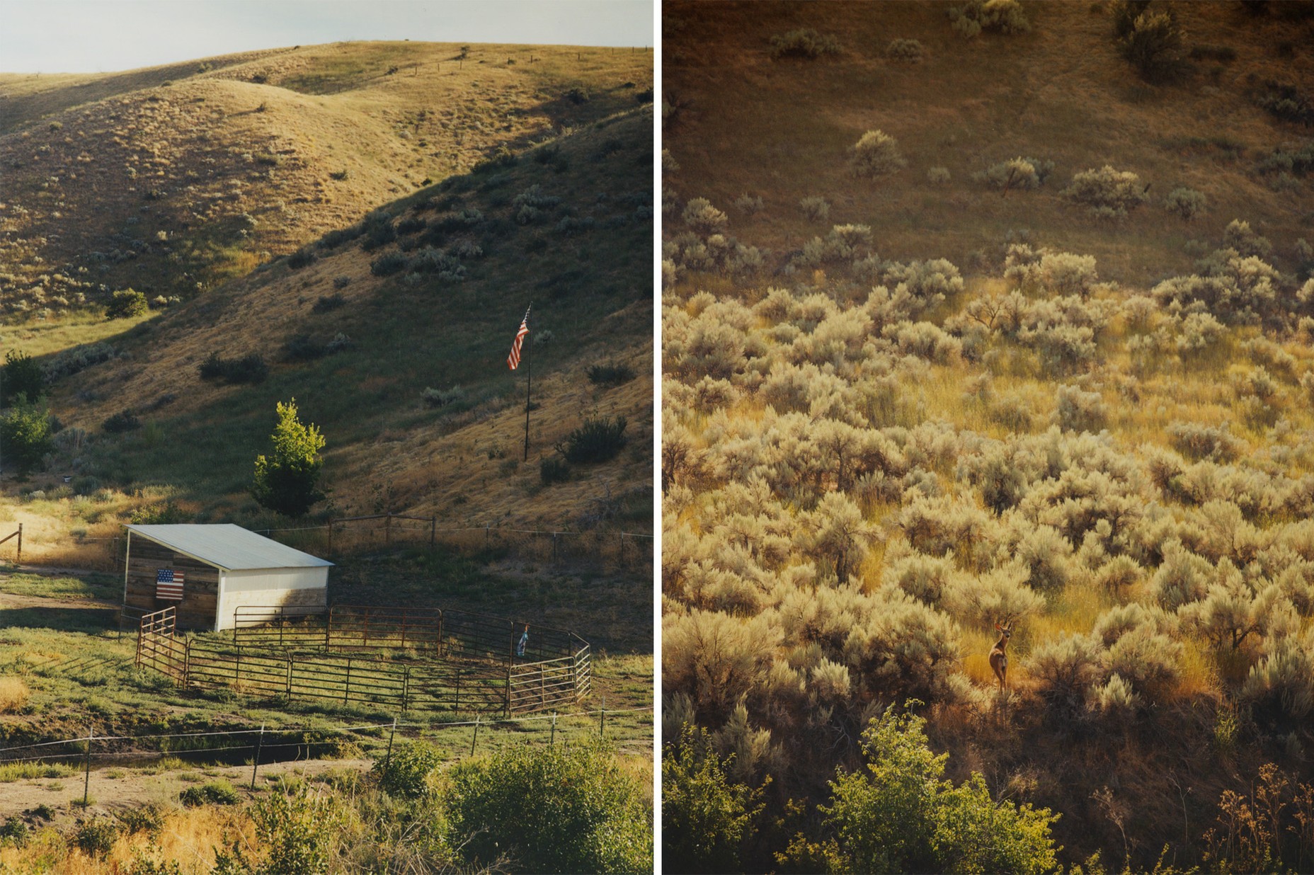 Ammon Bundy's Last Stand - The Atlantic